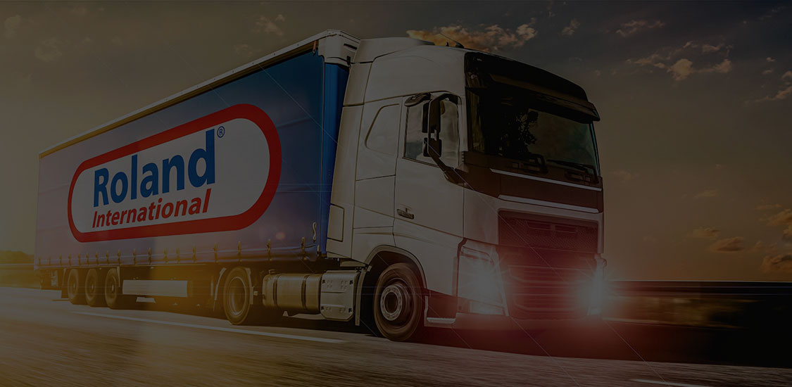 Roland - Visualize the Road Ahead